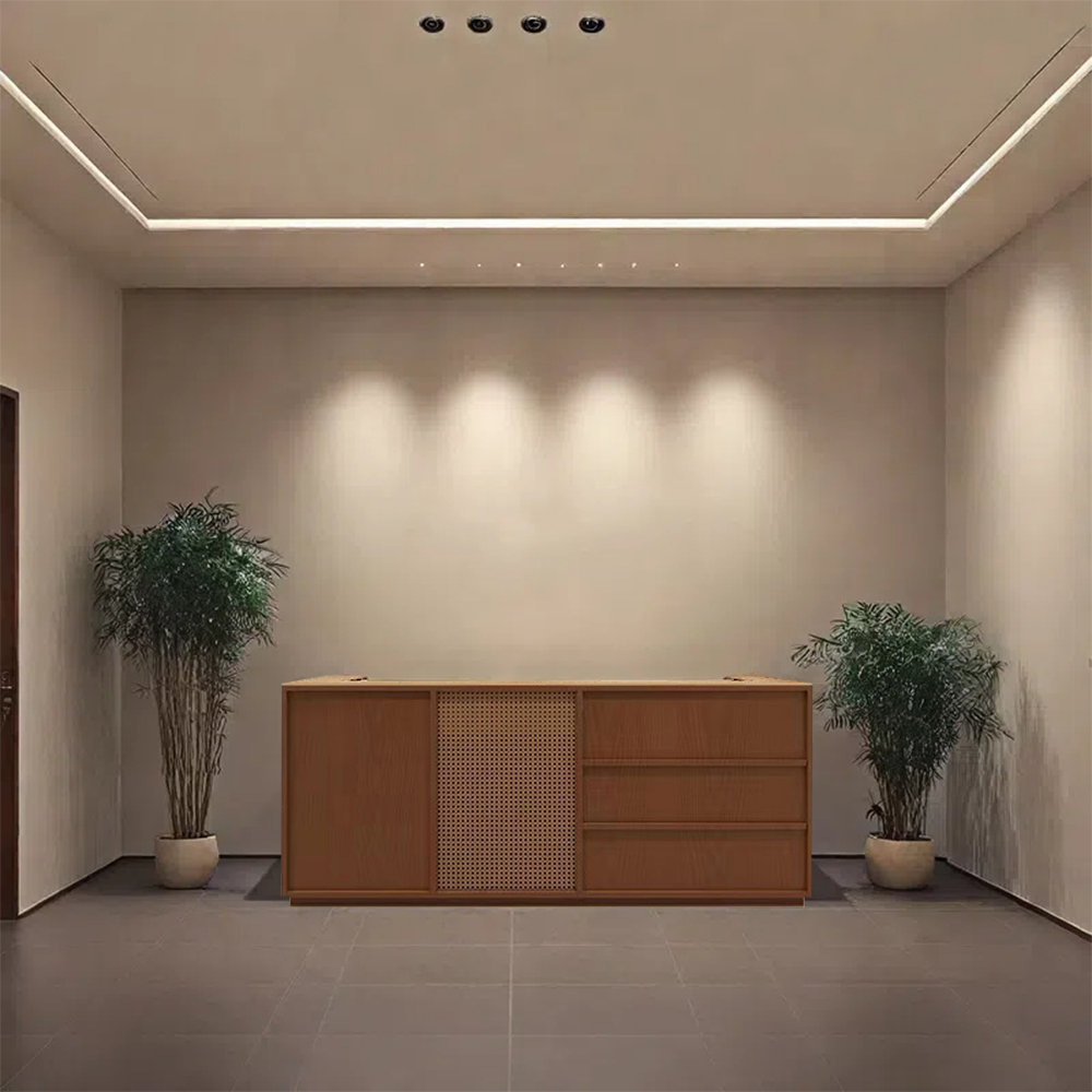 Artistic Soul XKX Premium Furniture Rustic Front Desk with Locking ...