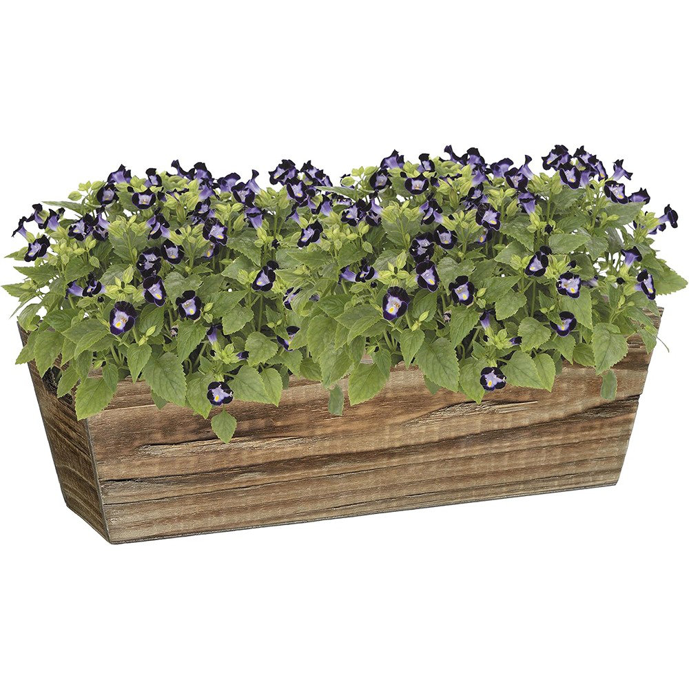 Ophelia & Co. Wood Window Box - Handled Buffalo Brown | Wayfair