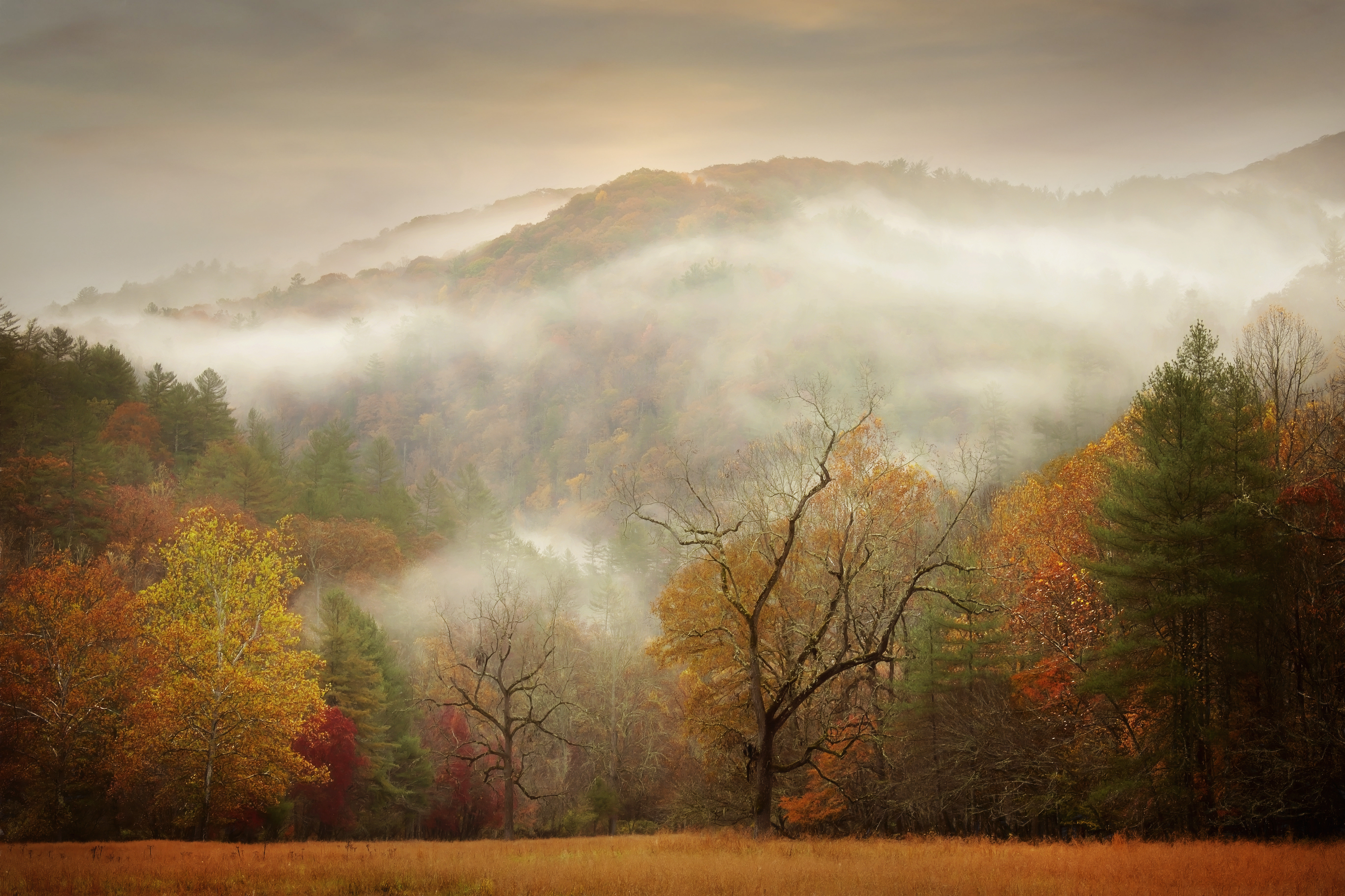 Union Rustic Autumn Mist by Phburchett - Photograph | Wayfair.co.uk