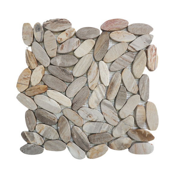 b.o.i Oval Petrifiedwood Floor And Wall Mosaic Tile - Wayfair Canada