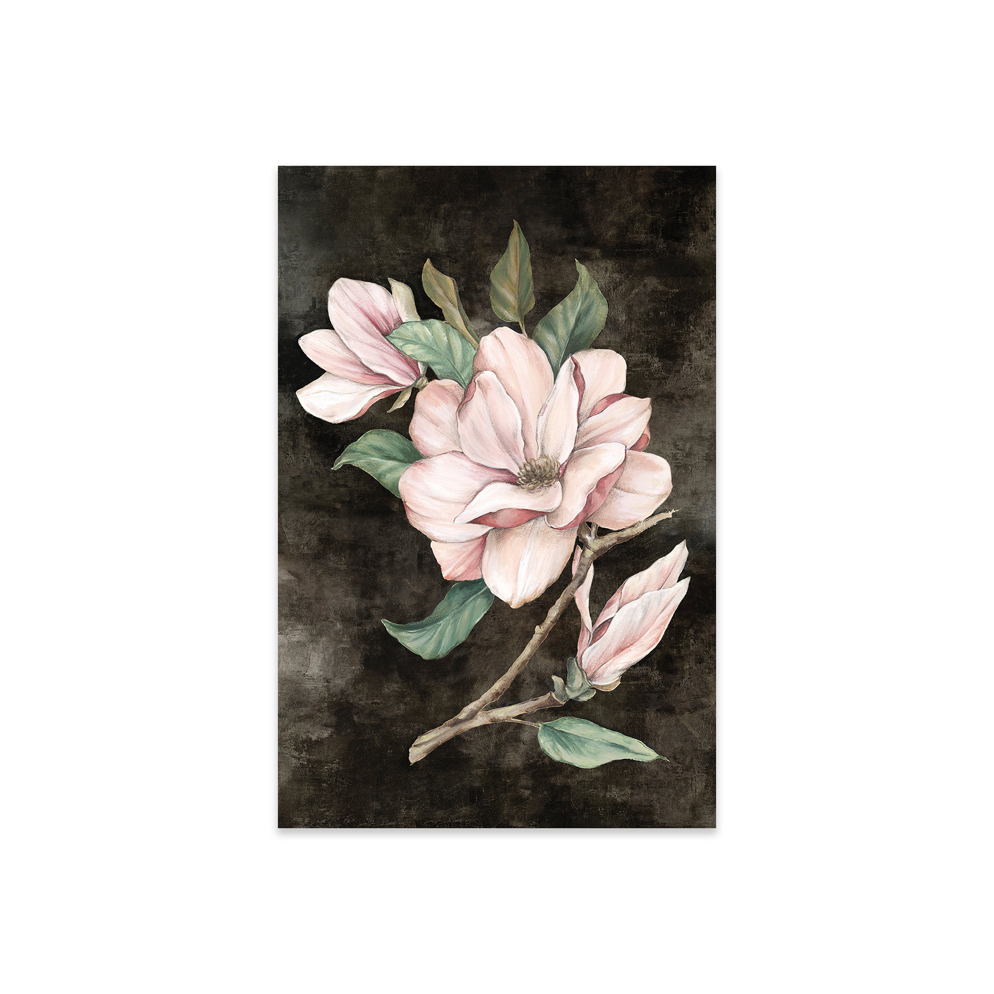 Winston Porter Pink Magnolia I On Plastic / Acrylic by Eva Watts Print ...