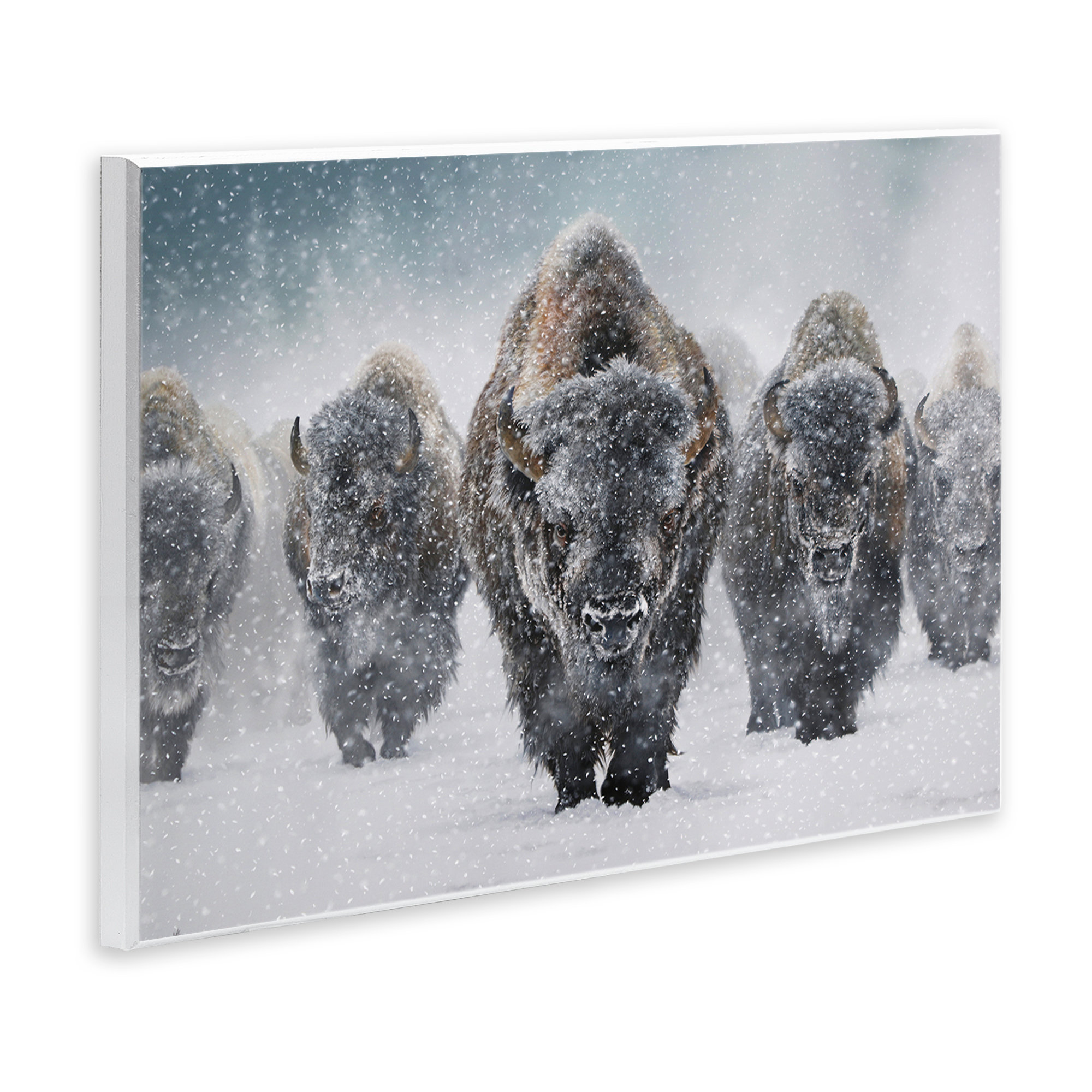 Union Rustic Indomitable Bison in Snow Wall Plaque Art by Mark Kelso ...