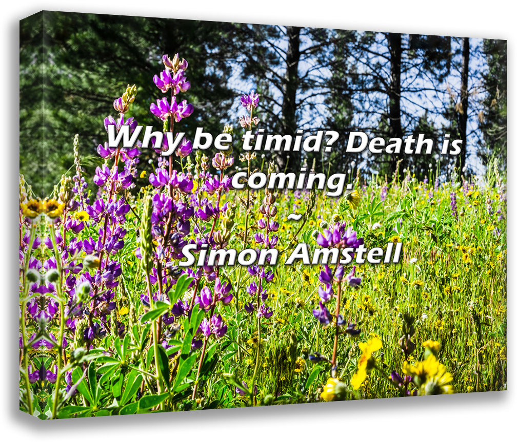 Latitude Run® Simon Amstell Quote: Why be timid? Death is coming. | Wayfair