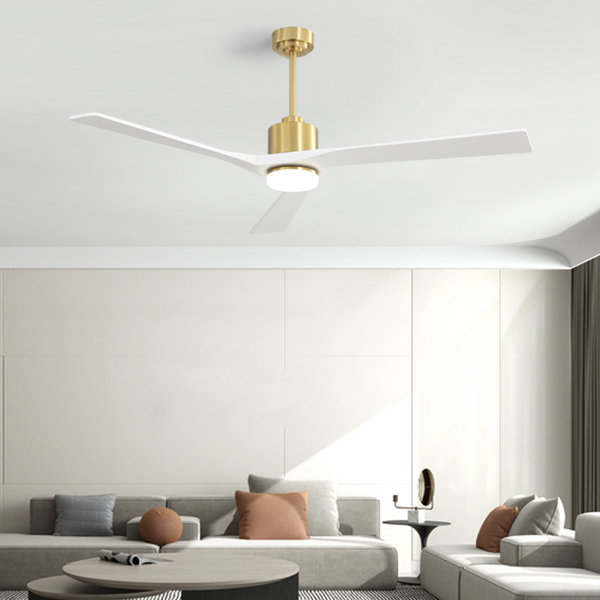 Hokku Designs 64'' Ceiling Fan with LED Lights | Wayfair