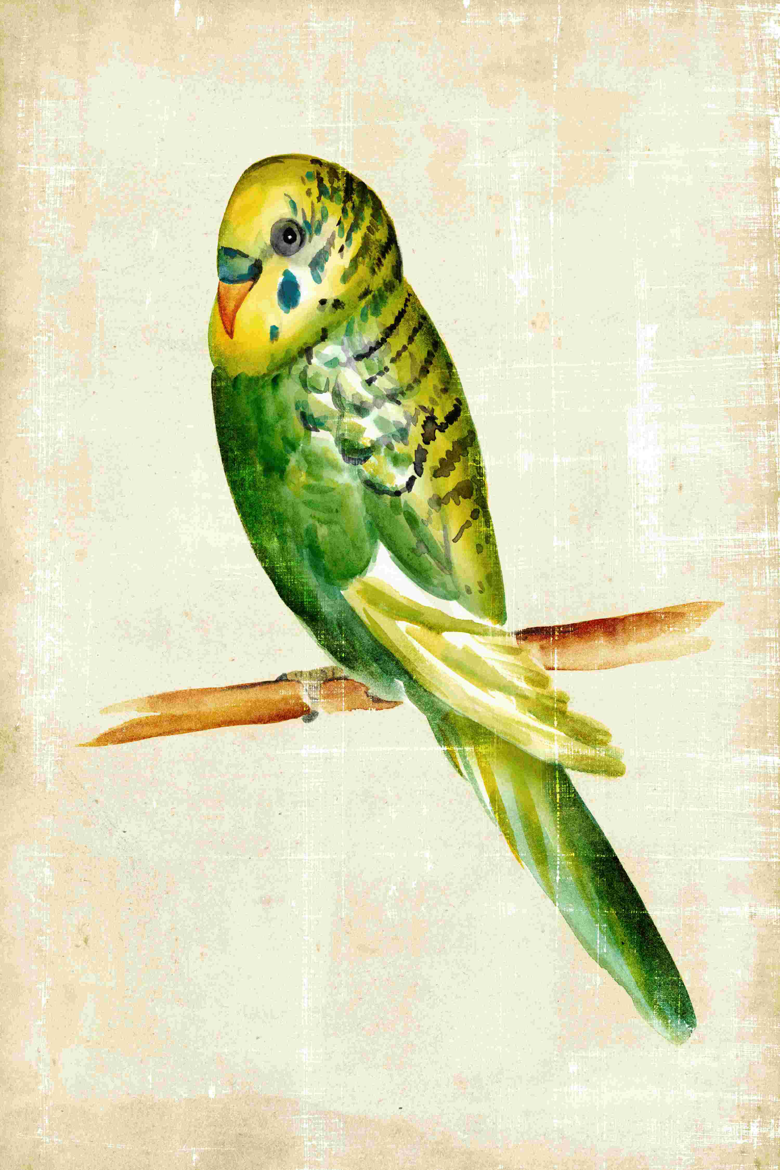Bayou Breeze Fanciful Birds III - Wayfair Canada