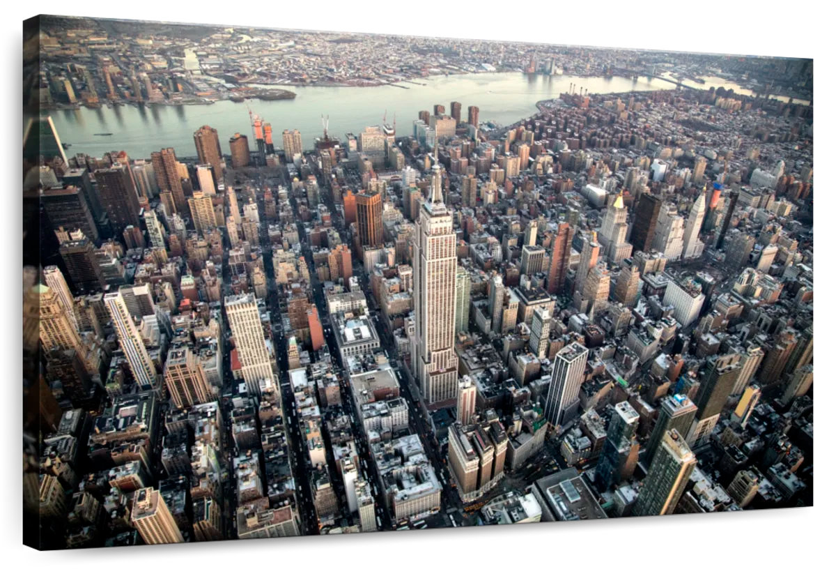 Elephant Stock NYC Buildings | Wayfair