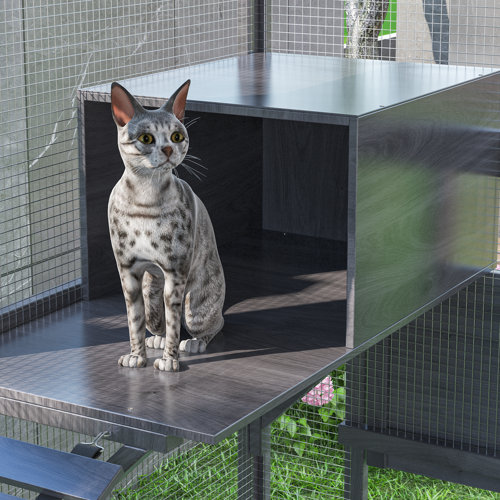 Metaoutdoors Cat Playpen & Reviews | Wayfair