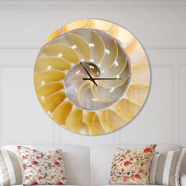 East Urban Home Isolated Nautilus Shell - Modern wall clock & Reviews ...