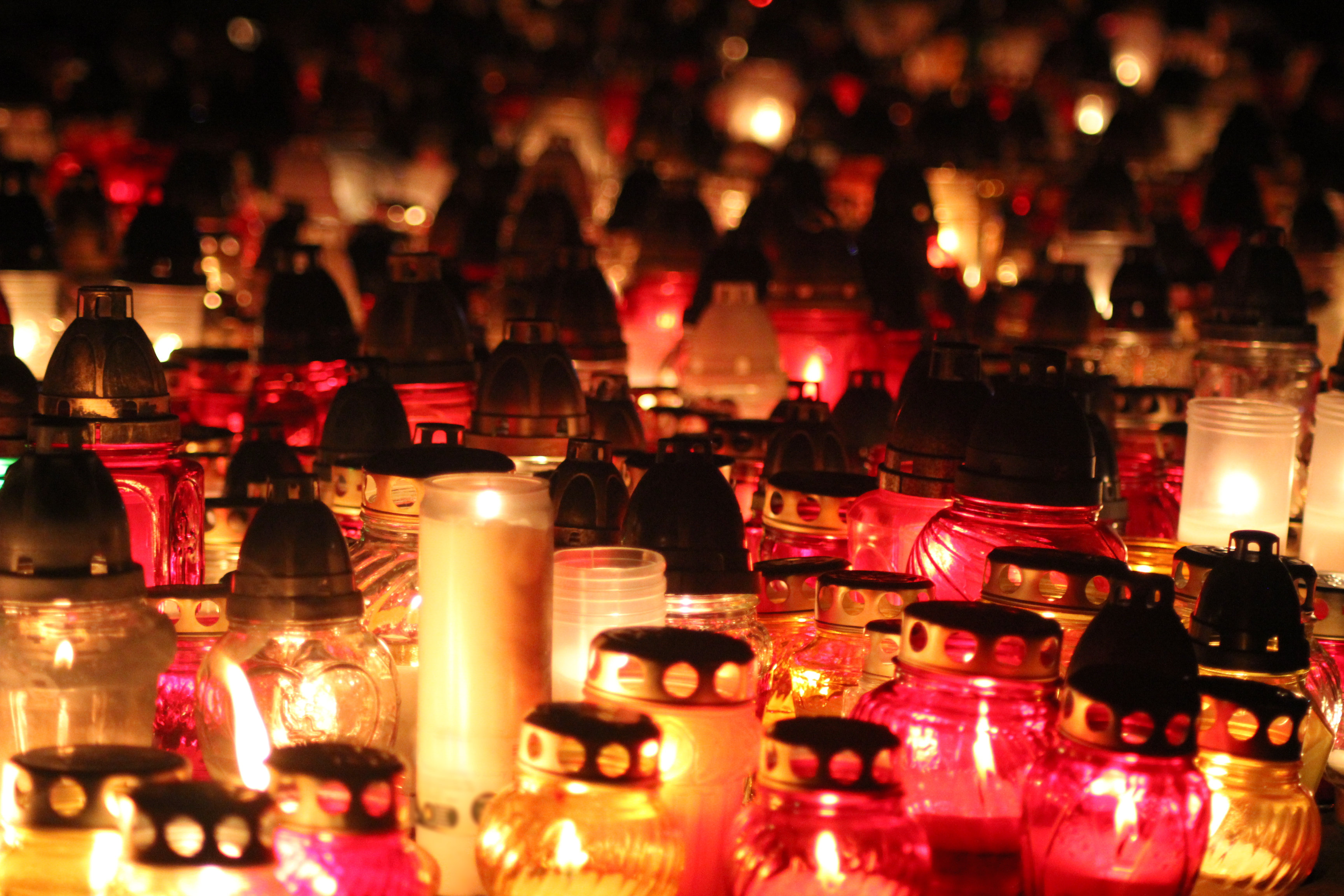 Ebern Designs Izeke All Saints Day On Canvas by Photobos Photograph ...