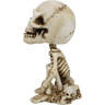 Trinx Gothic Macabre Grinning Grave Squatter Skeleton Skull Bobblehead ...