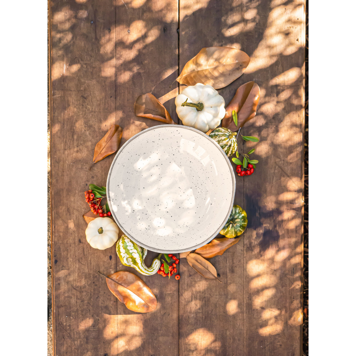 RE/FINE™ Laya Speckled Melamine Dinner Plate & Reviews | Wayfair
