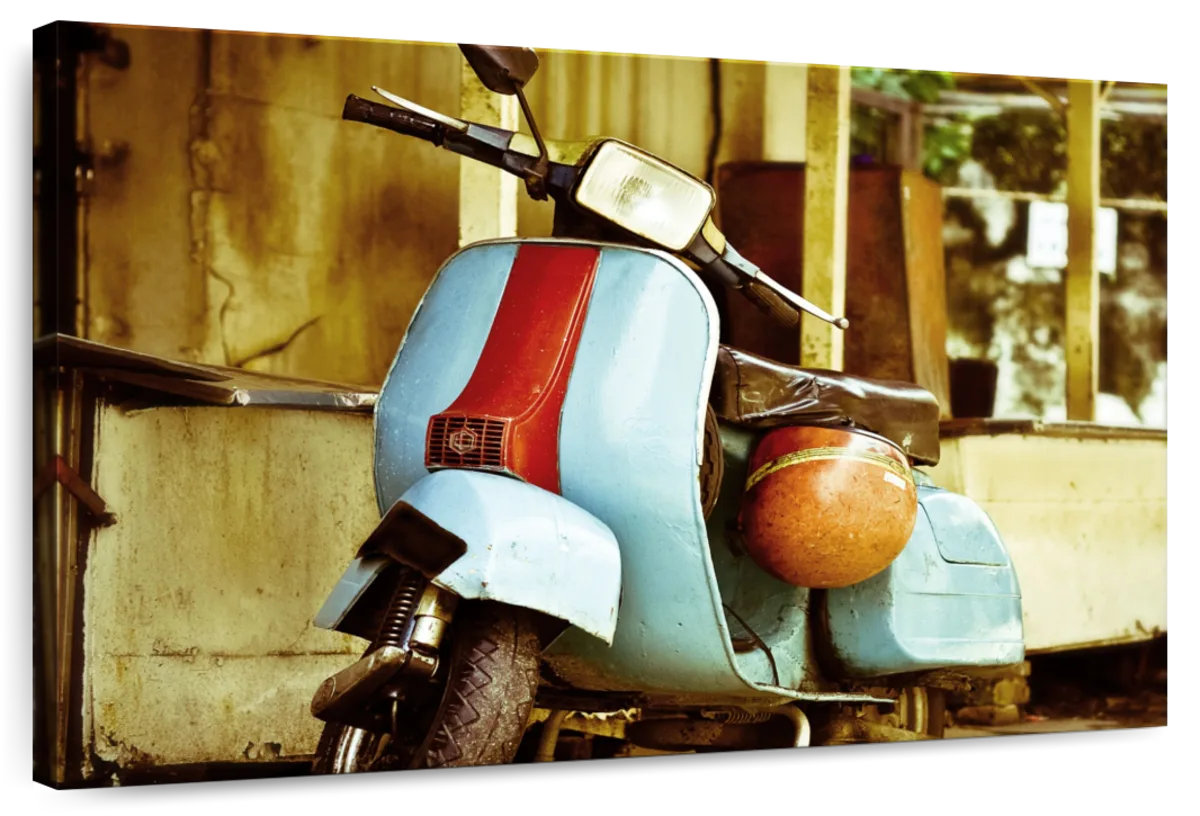 Elephant Stock Vespa Scooter | Wayfair