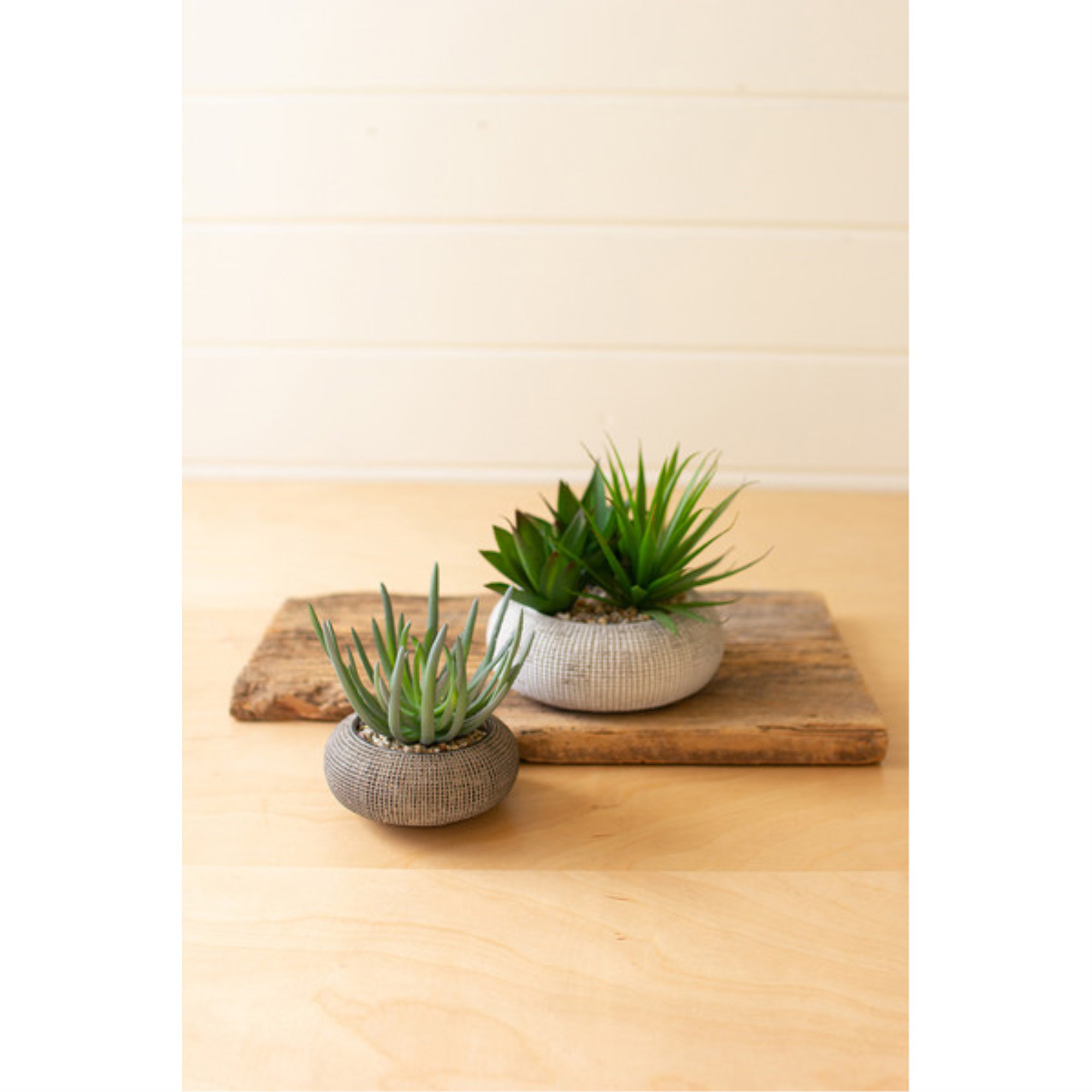 Primrue 2 Artificial Eucalyptus Succulent in Pot Set | Wayfair