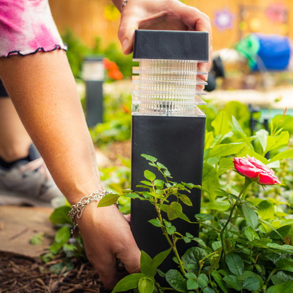 ForeverGiftsInc. Column Solar Powered LED Pathway Light & Reviews | Wayfair