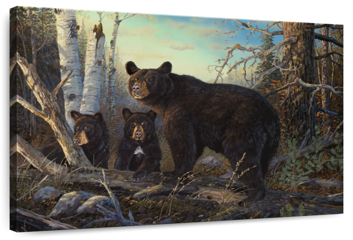 Ebern Designs Absolutely Wild - Black Bear - Wayfair Canada