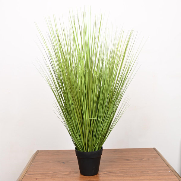Primrue 32'' Faux Reed Grass in Pot | Wayfair