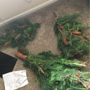 The Holiday Aisle® Ashland Fir Tree Ashland Fir Artificial Christmas ...