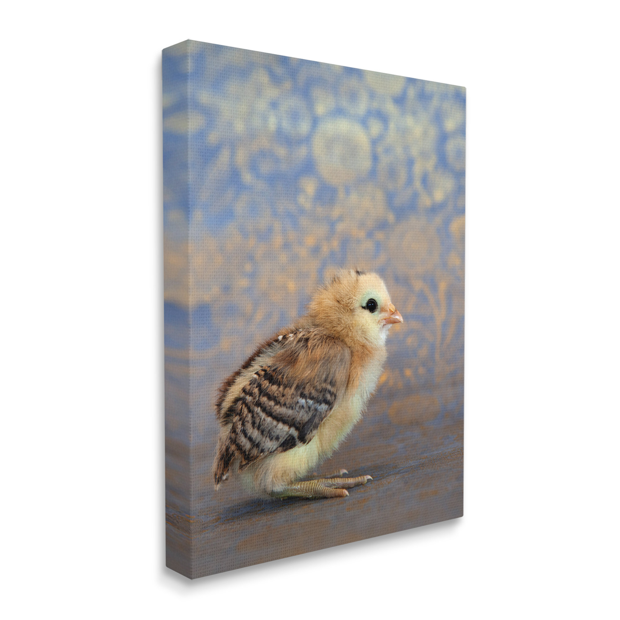 Stupell Industries Tiny Baby Bird Chick Patterned Botanical Backdrop by ...