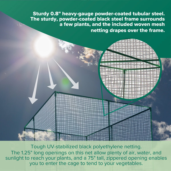 World Source Partners 79.2'' W x 109.2'' D Fruit Cage & Reviews | Wayfair