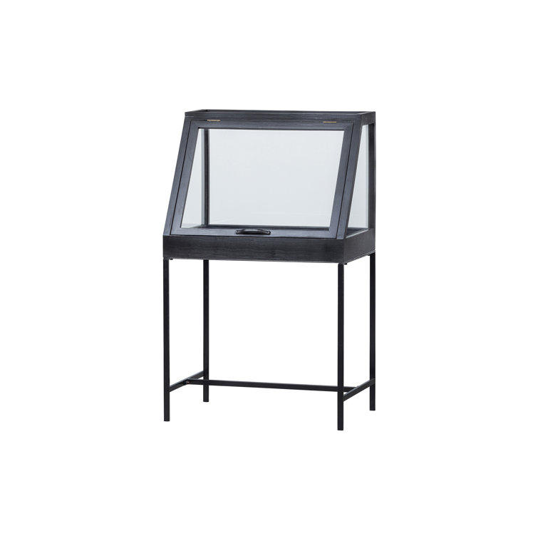 Woood Dido Glass Display Cabinet | Wayfair.co.uk