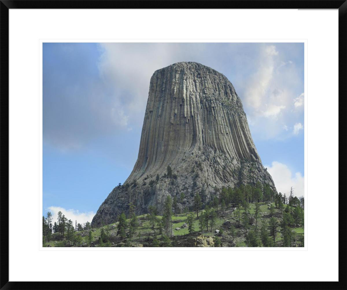 Global Gallery Devil's Tower National Monument Showing Famous Basalt ...