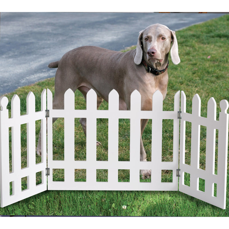 Ophelia & Co. Folding White Picket Fence Free Standing Pet Gate. 19" H ...