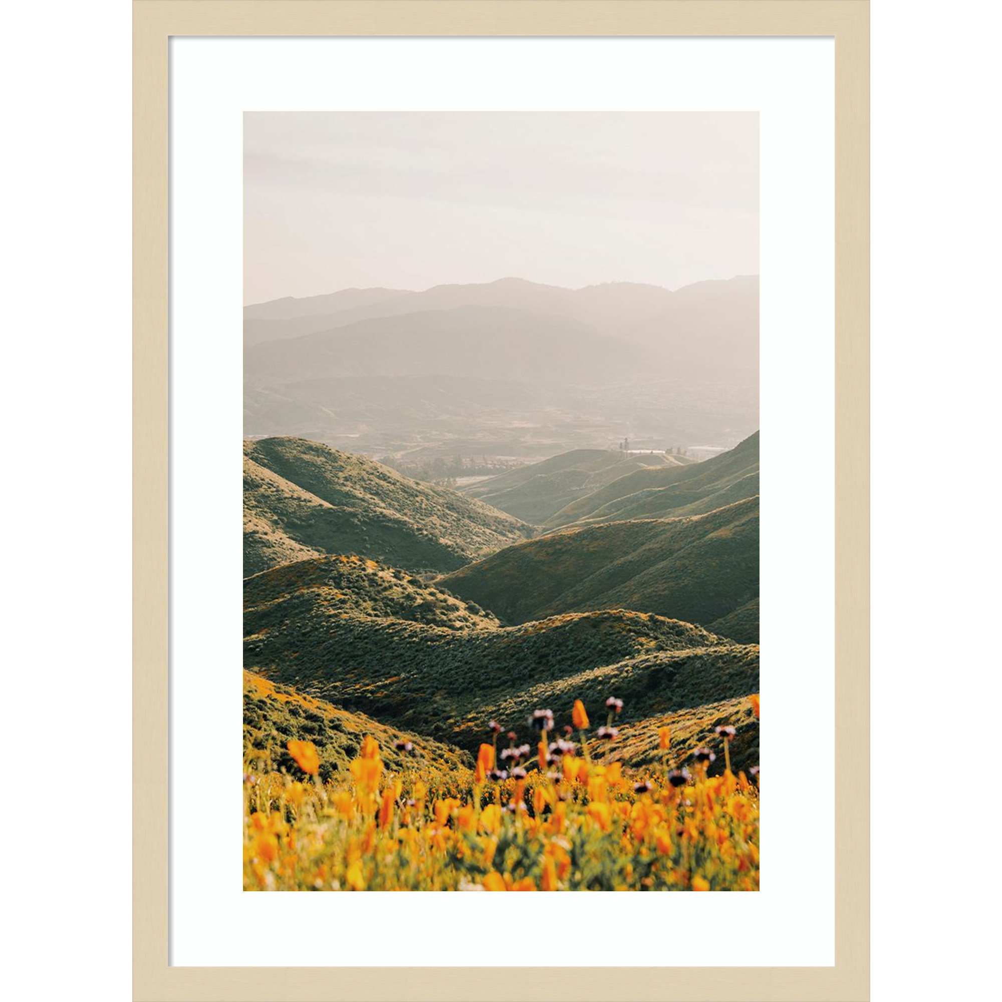 Latitude Run® Palomar By Krista Broadway Wood Framed Wall Art Print ...