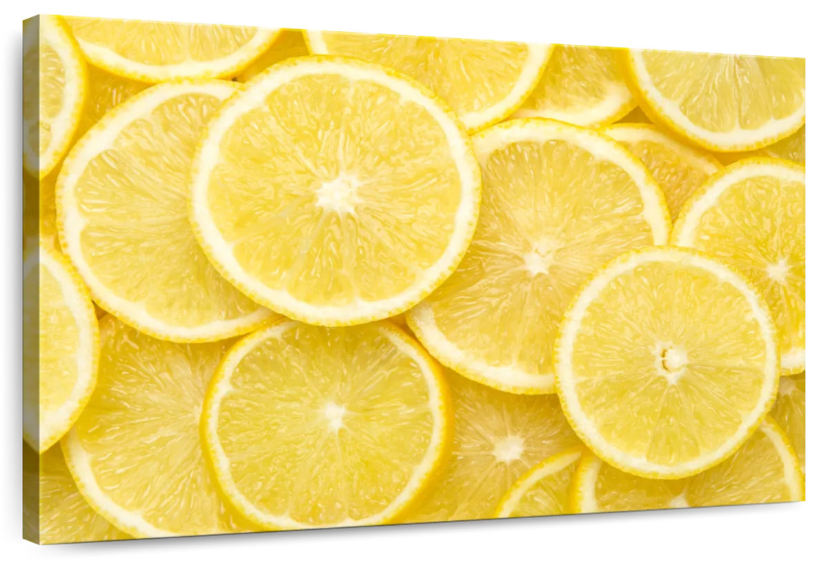 Elephant Stock Slices Of Lemon | Wayfair