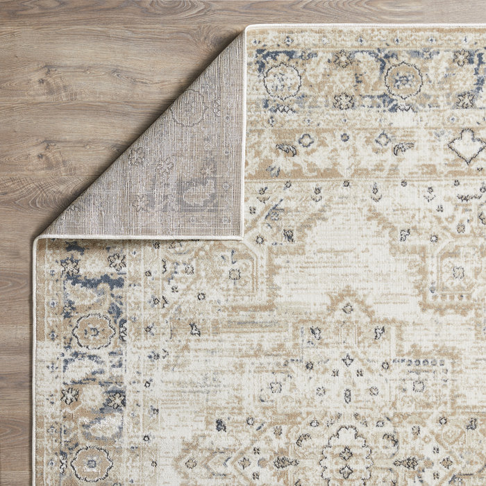Charlton Home® Aldonia Oriental Rug & Reviews | Wayfair