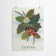 Bay Isle Home Shelldrake Coffee Plant - Unframed Art Prints | Wayfair.co.uk