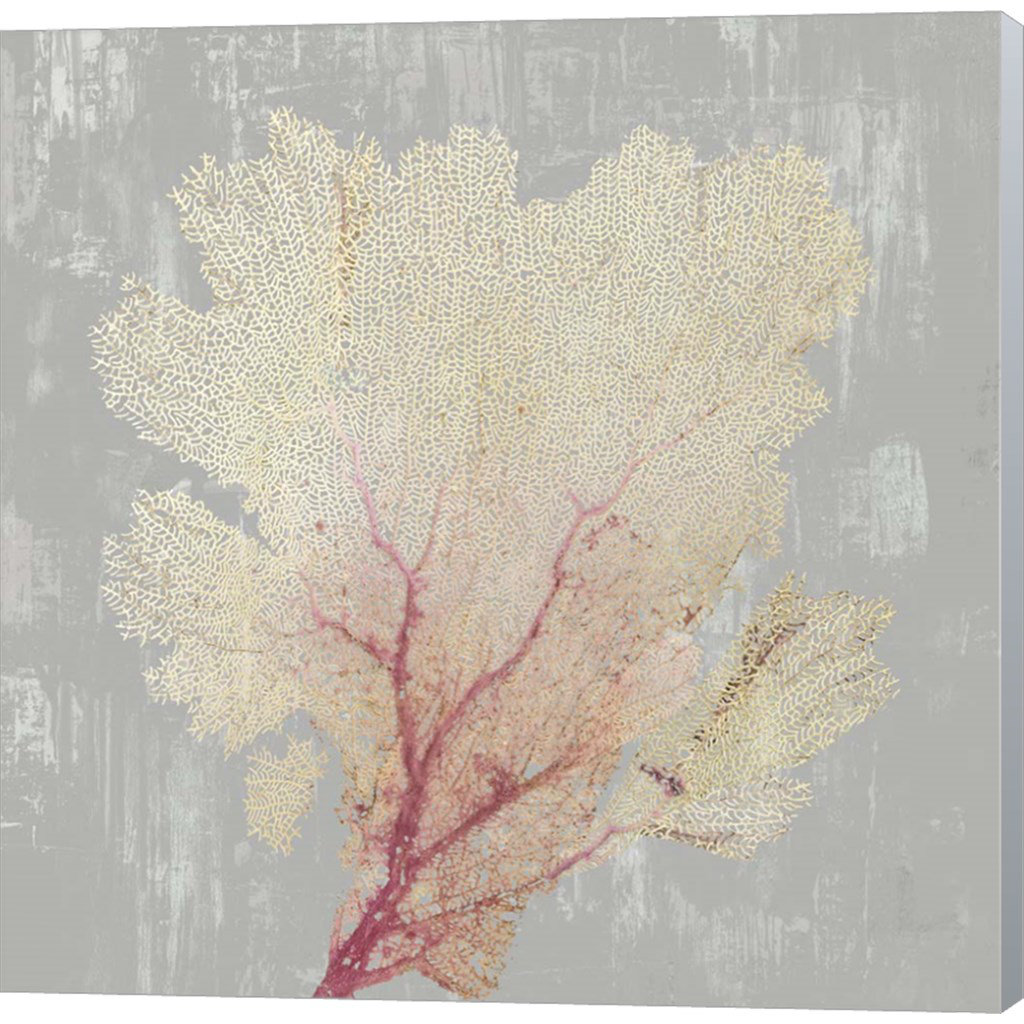 Dovecove Blush Coral II by Aimee Wilson - Wrapped Canvas Print | Wayfair