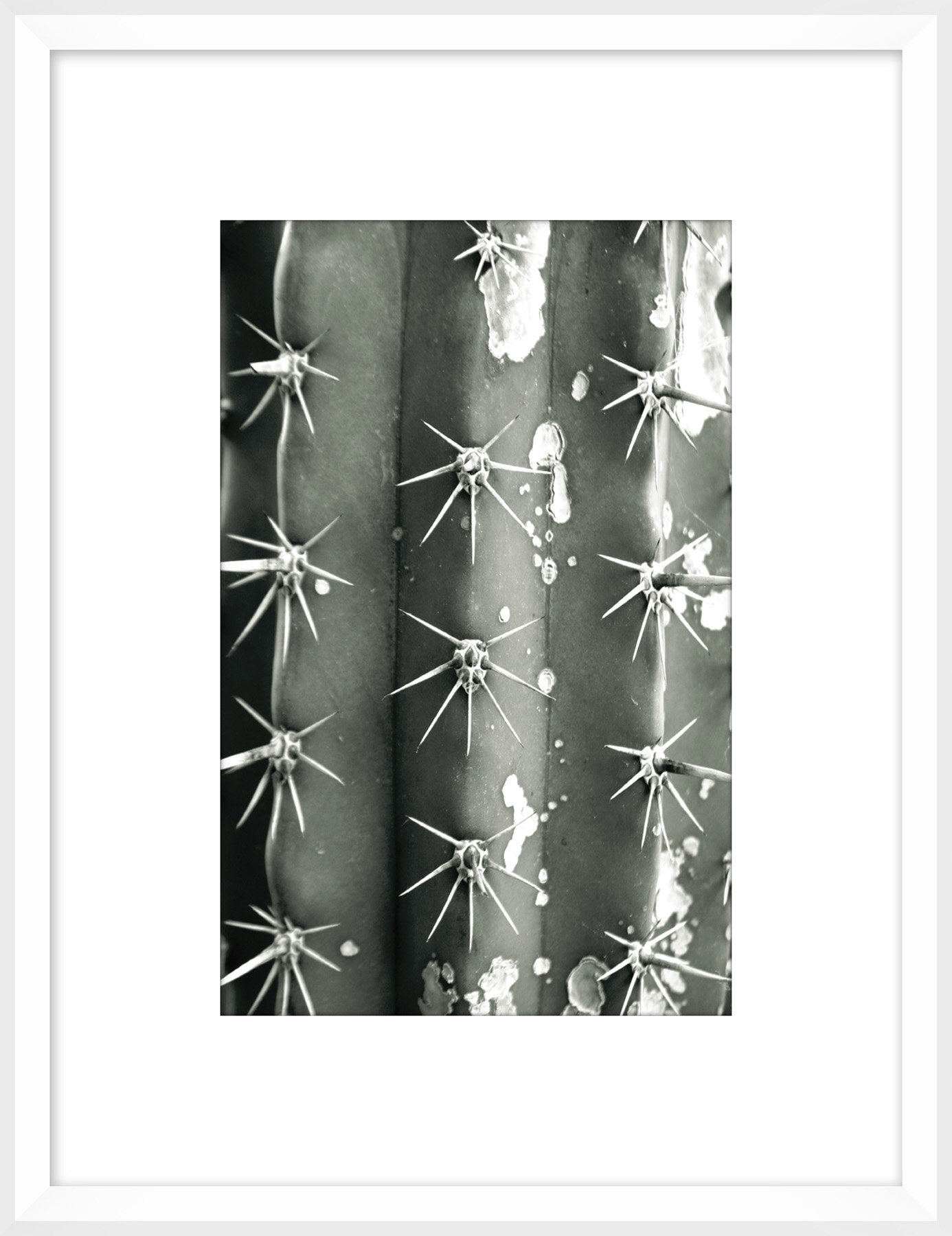 Wendover Art Group Silver Spike Small 4 - Picture Frame Photograph on ...