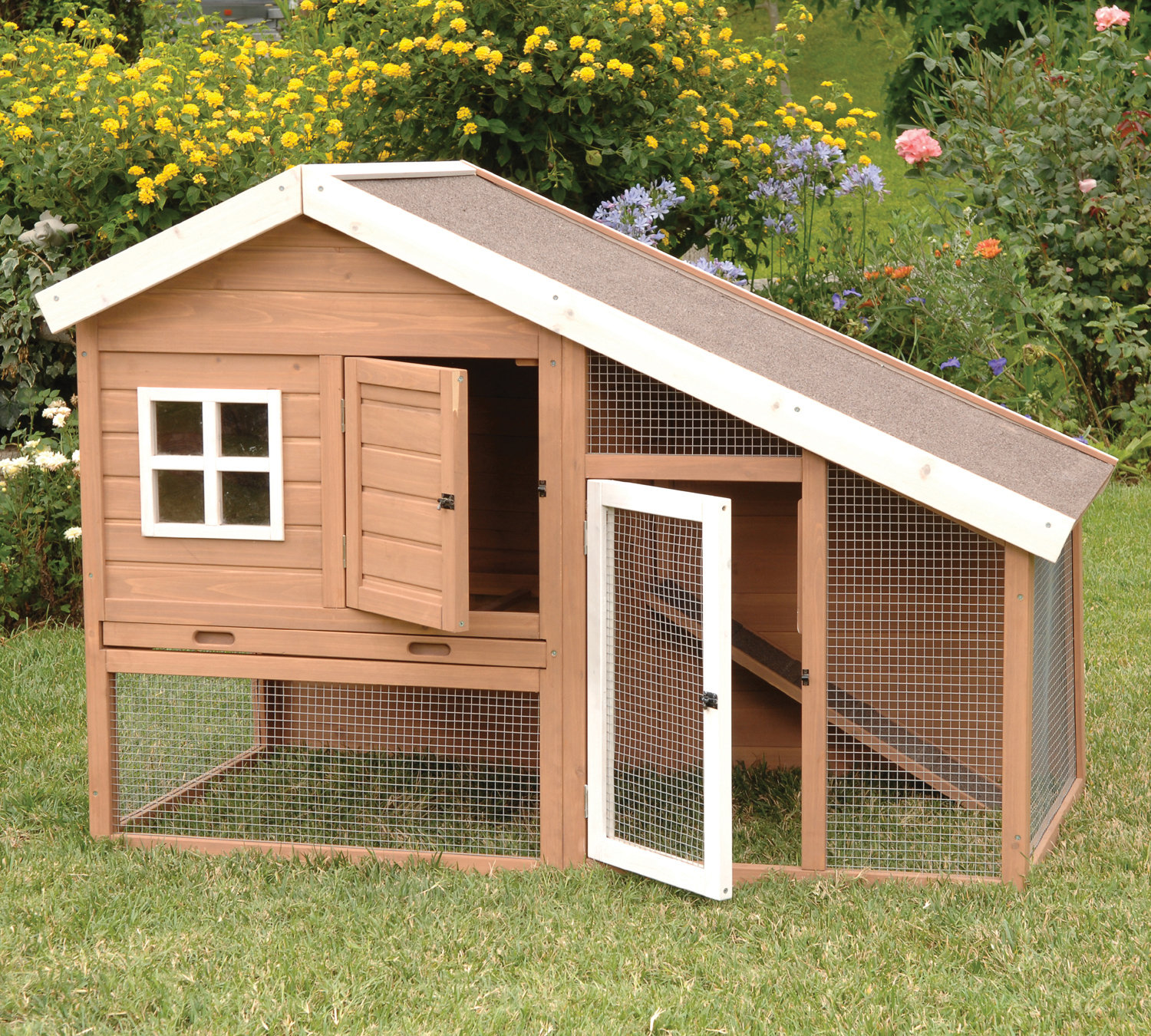 Tucker Murphy Pet™ Balto Cape Cod Chicken Coop with Chicken Run ...