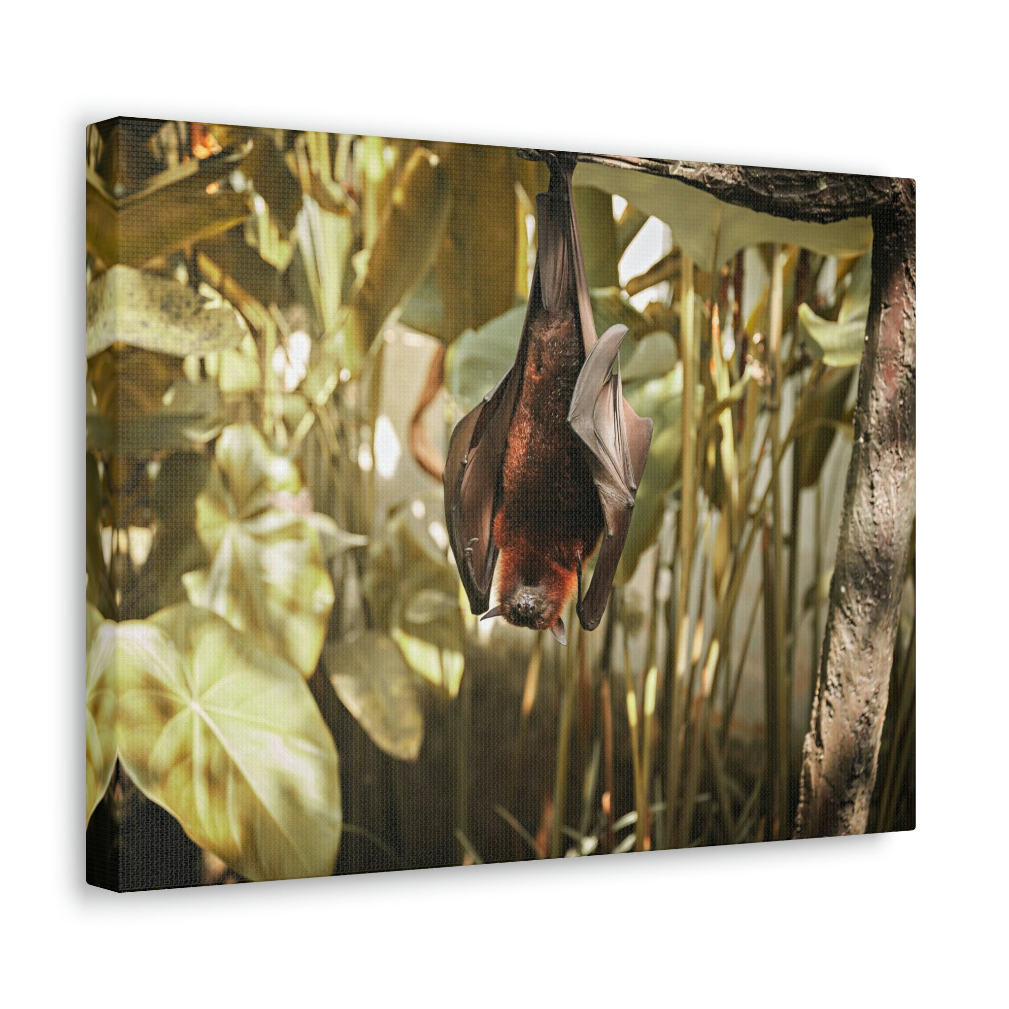 Brayden Studio Funny Vampire Bat Silly Vampire Bat Scene Outside Wall ...