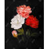 Lark Manor™ Small Bundle of Roses - Coral Floral Canvas for Home Decor ...