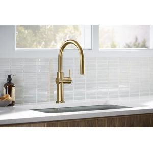 Kitchen Faucets - Wayfair Canada