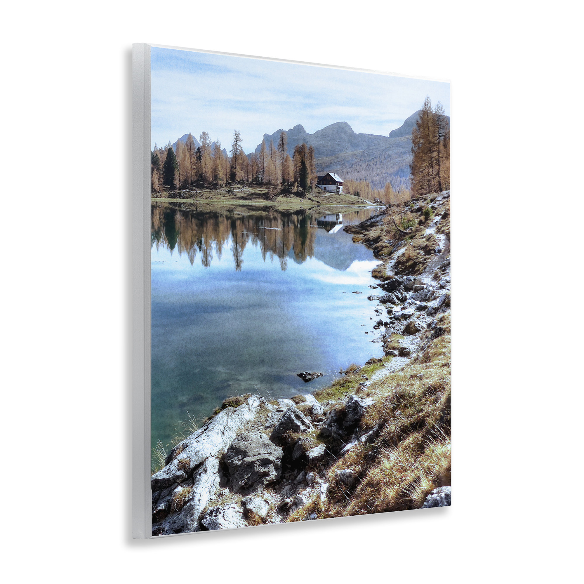 Ophelia & Co. Lake Cabin Forest Landscape Wall Plaque, design by Marcus ...