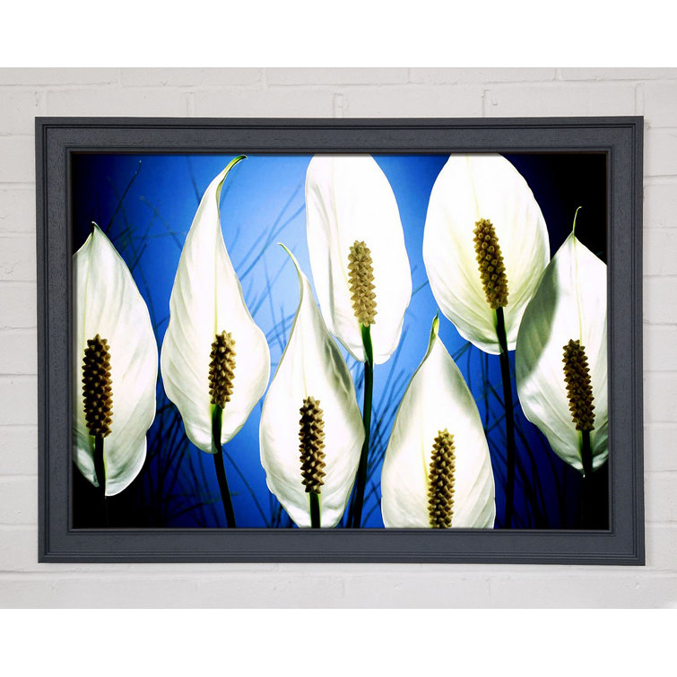 Ebern Designs White March - Print | Wayfair.co.uk