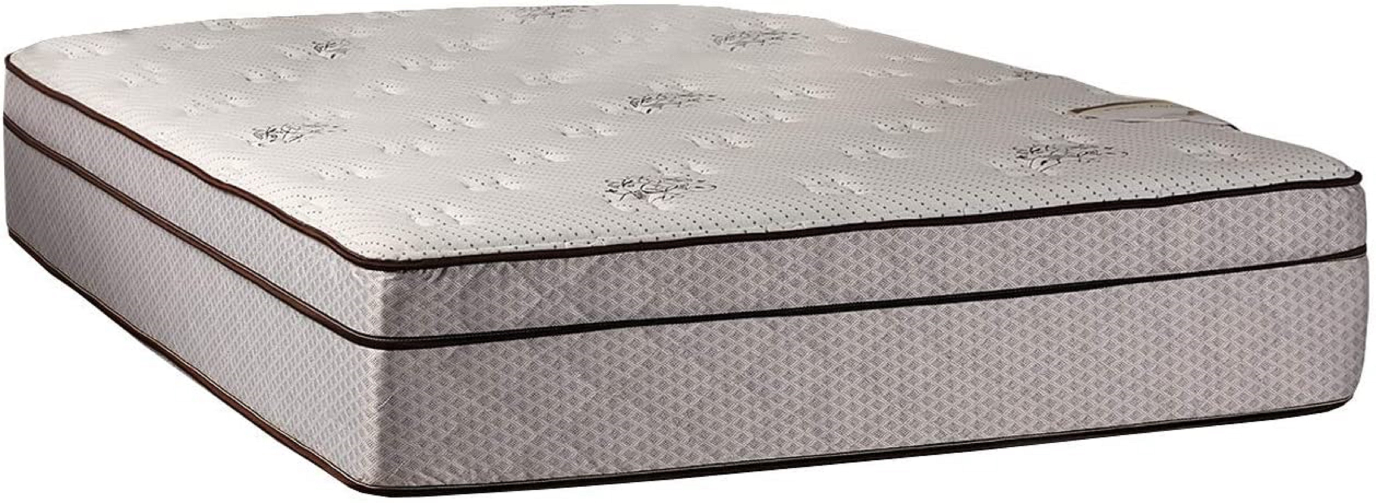 Alwyn Home Nagy Fifth Ave Plush Foam Encased Eurotop (pillow Top ...