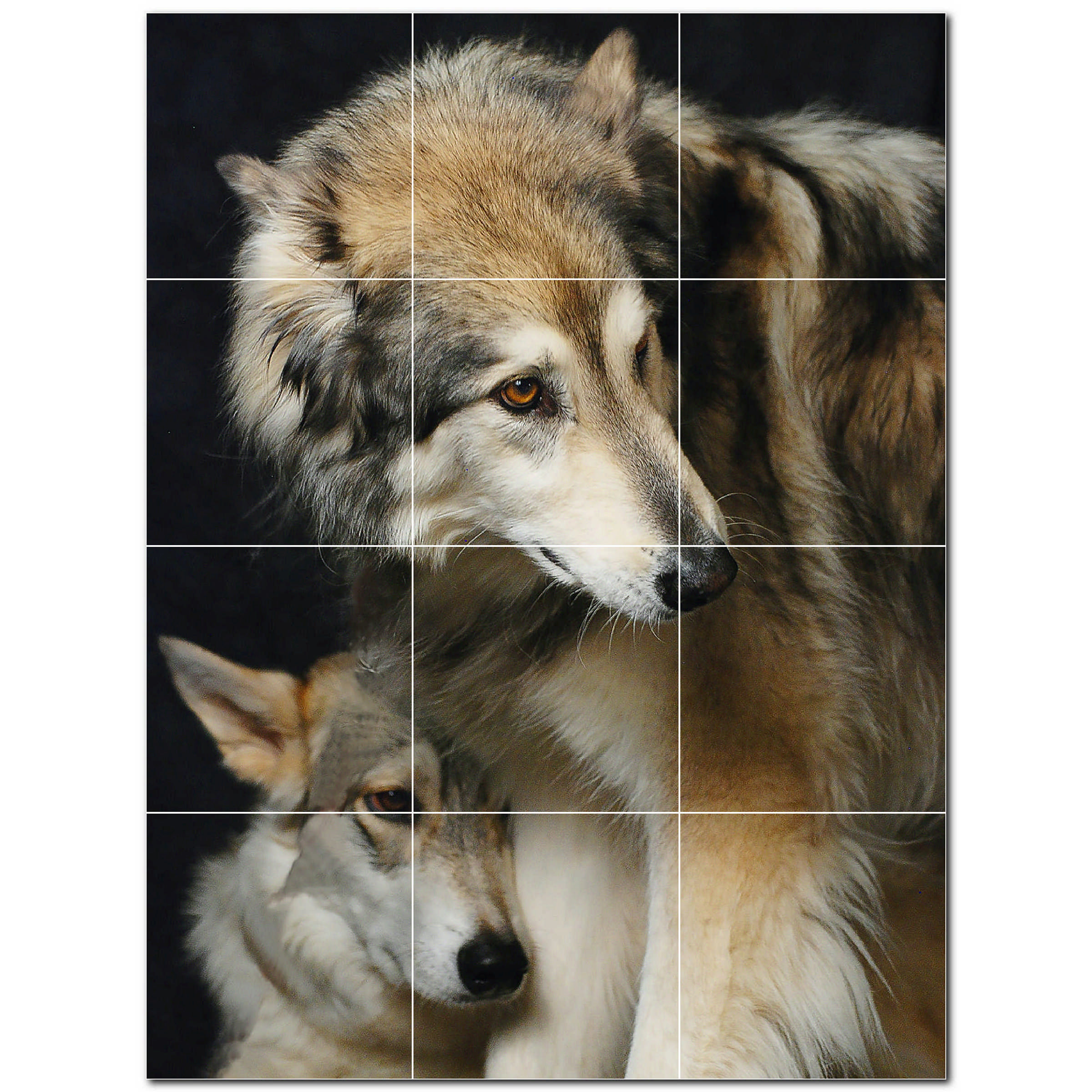 Picture-Tiles.com Wolf Photo 12 x 12 | Wayfair