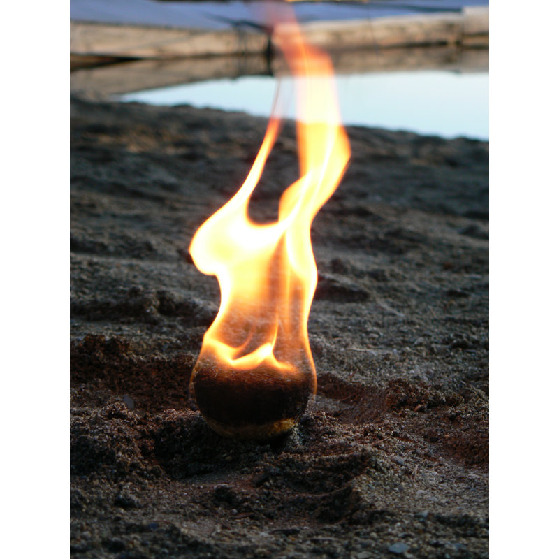 Lightning Nugget Fire Starter, 170-Count Box "& Reviews" | Wayfair