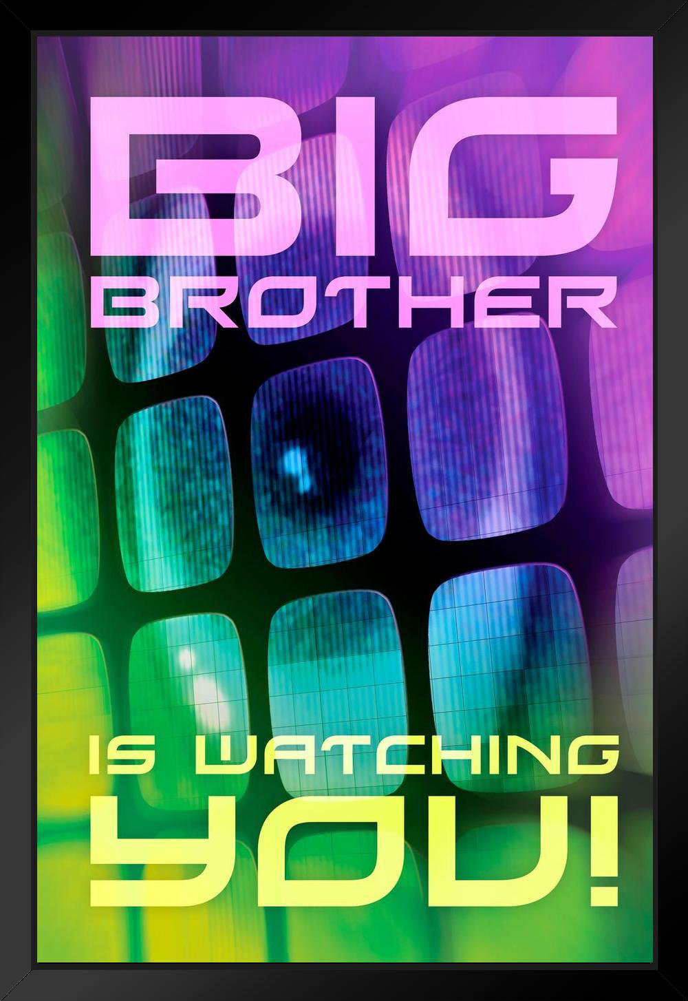 Trinx Big Brother Is Watching You Totalitarian Government State Warning ...