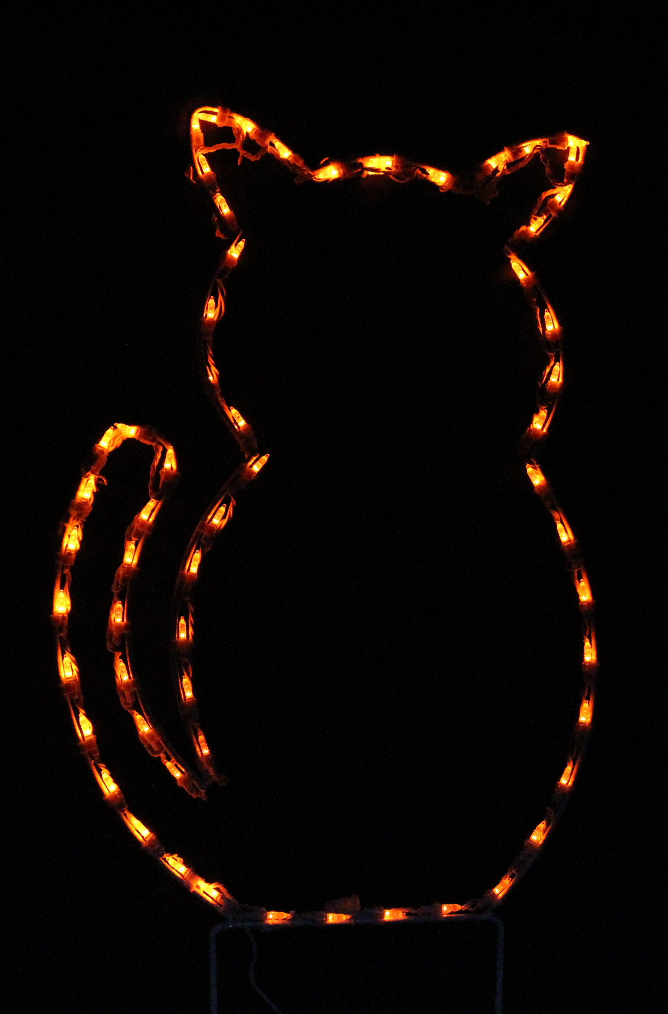 Lori's Lighted D'Lites Cat Outline Holiday Lighted Display - Wayfair Canada