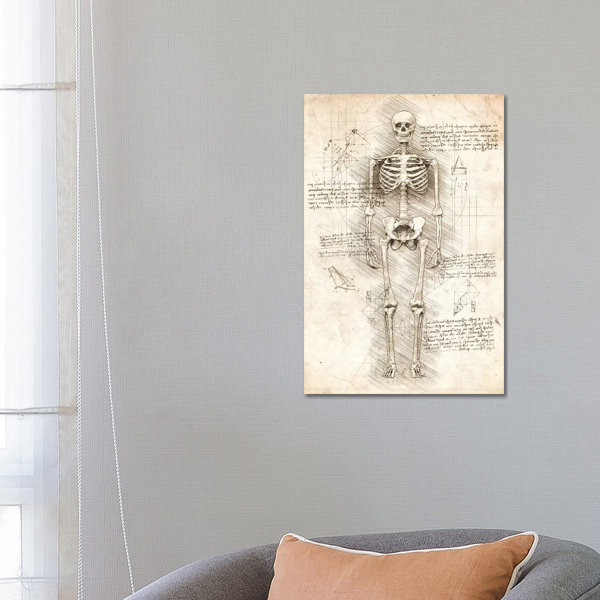 Happy Larry Human Skeleton | Wayfair.co.uk