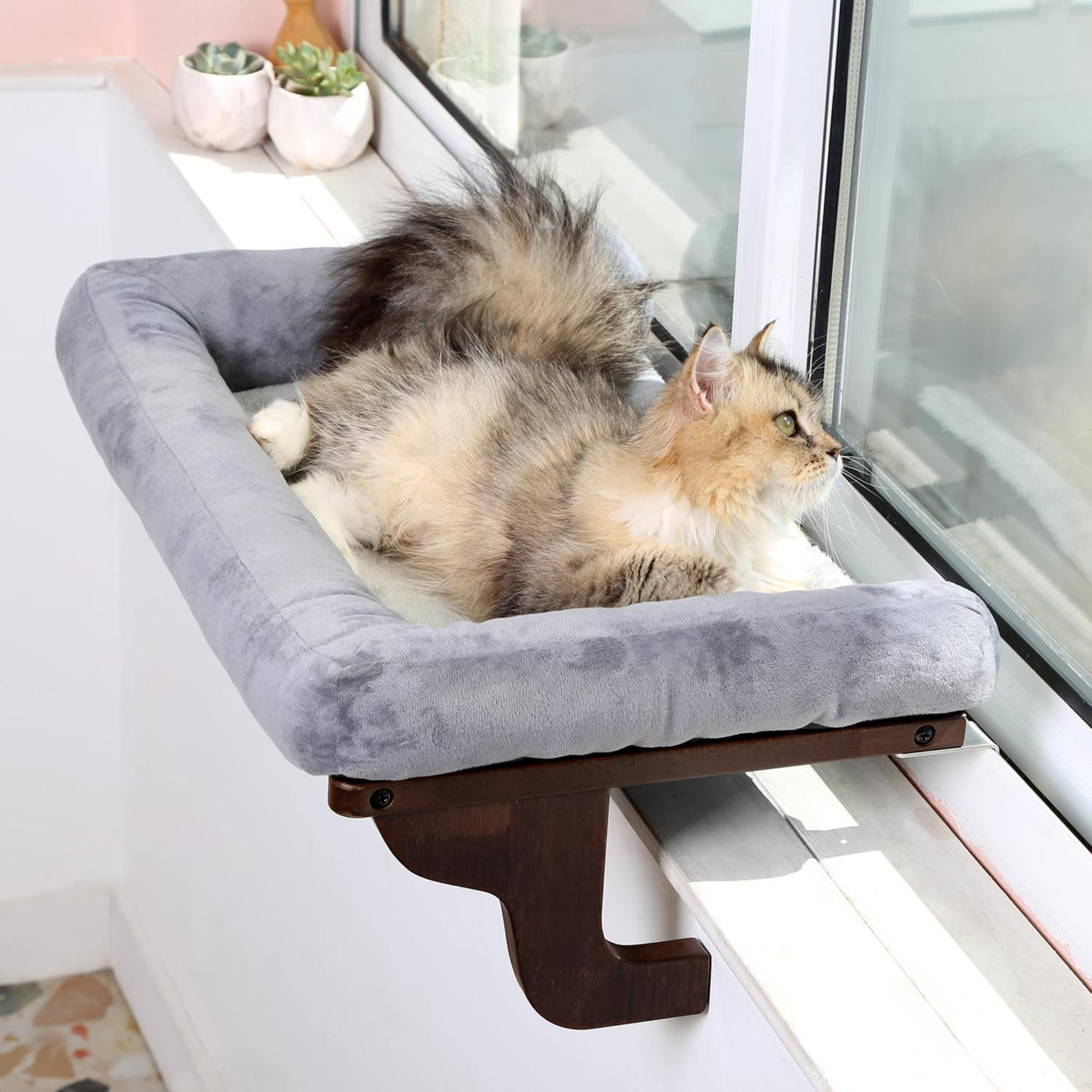 Tucker Murphy Pet™ Cat Perch For Window Sill With Bolster - Orthopedic ...