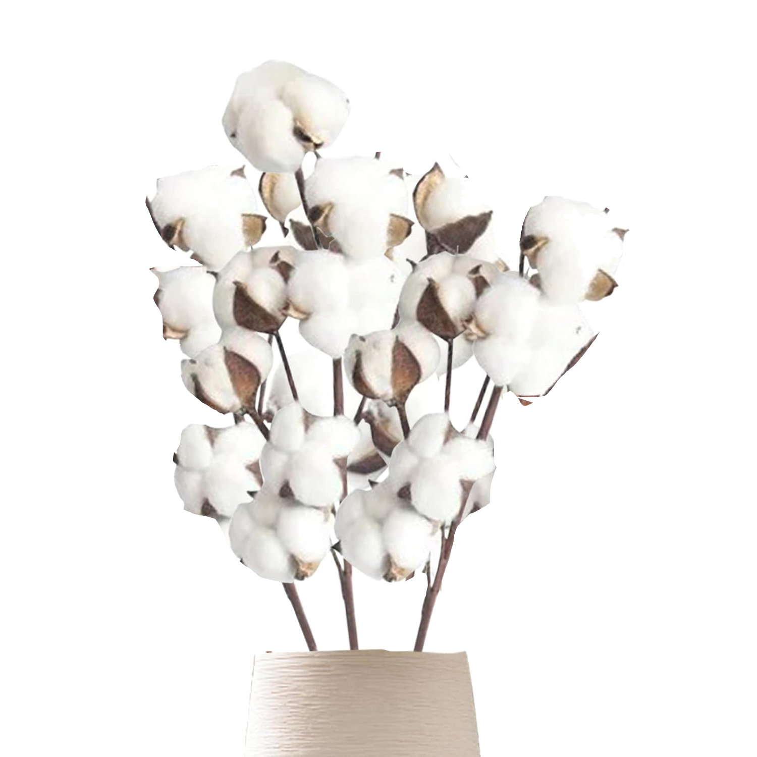 Primrue 3pcs Natural Cotton Flowers, Dried Cotton Picks, 22in 9 Heads ...