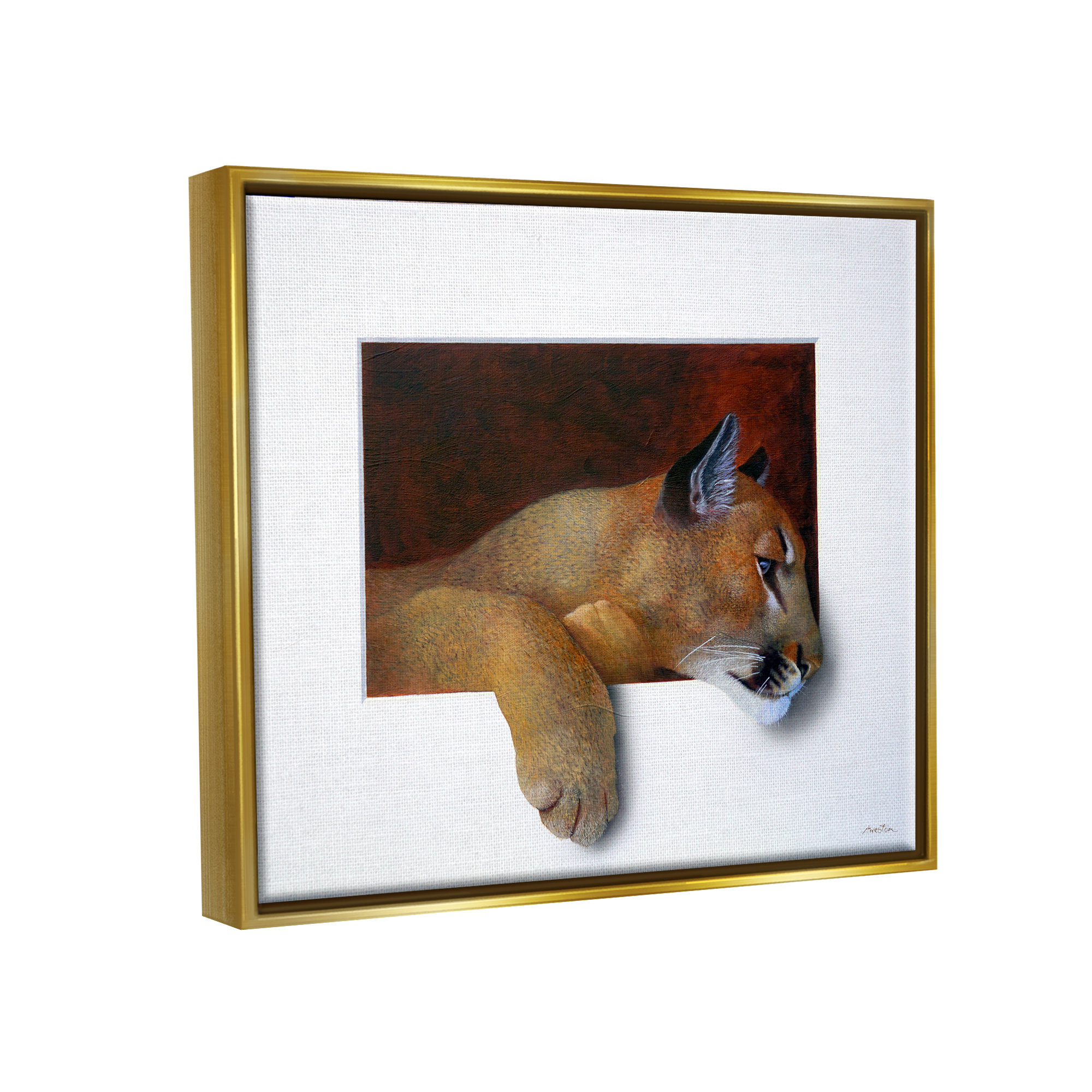 Stupell Industries Wild Cougar Resting Head Interesting Illusion ...