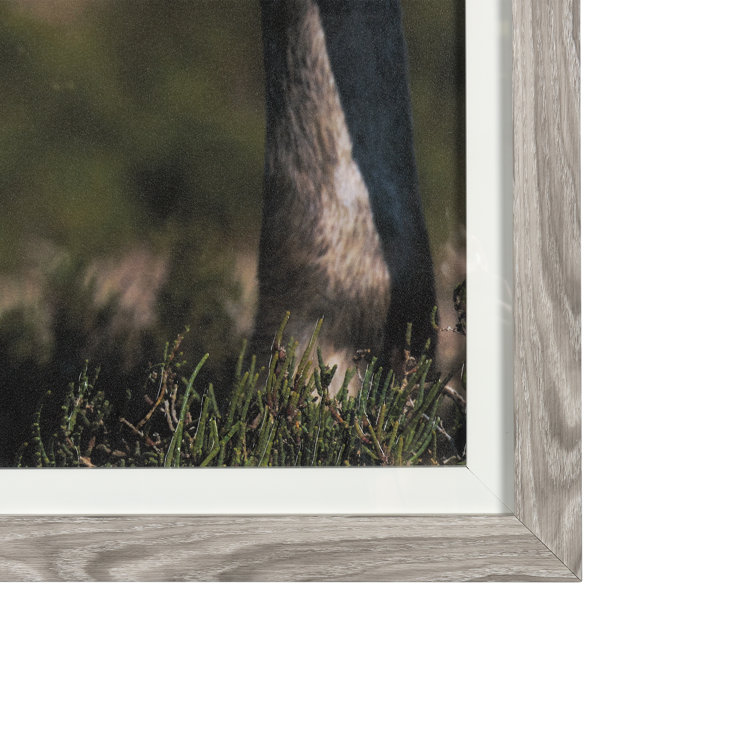 Mercana Nuzzled Together Framed - Wayfair Canada