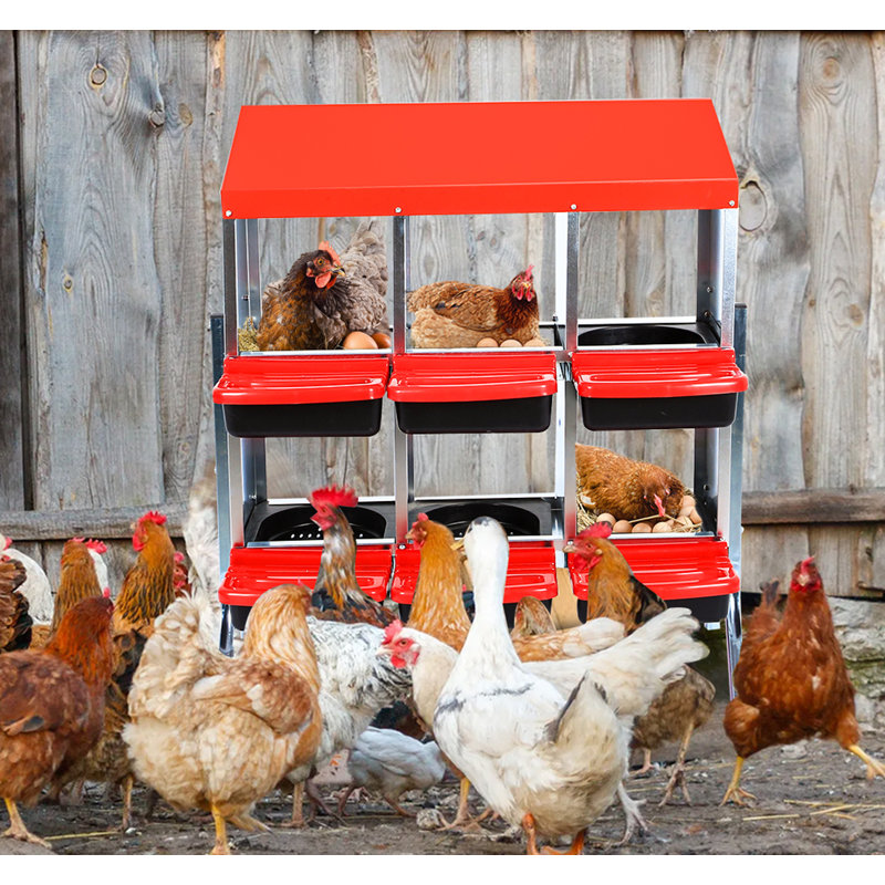 Archie & Oscar™ Nesting Boxes For Chickens,plastic Tray Egg Laying Box ...