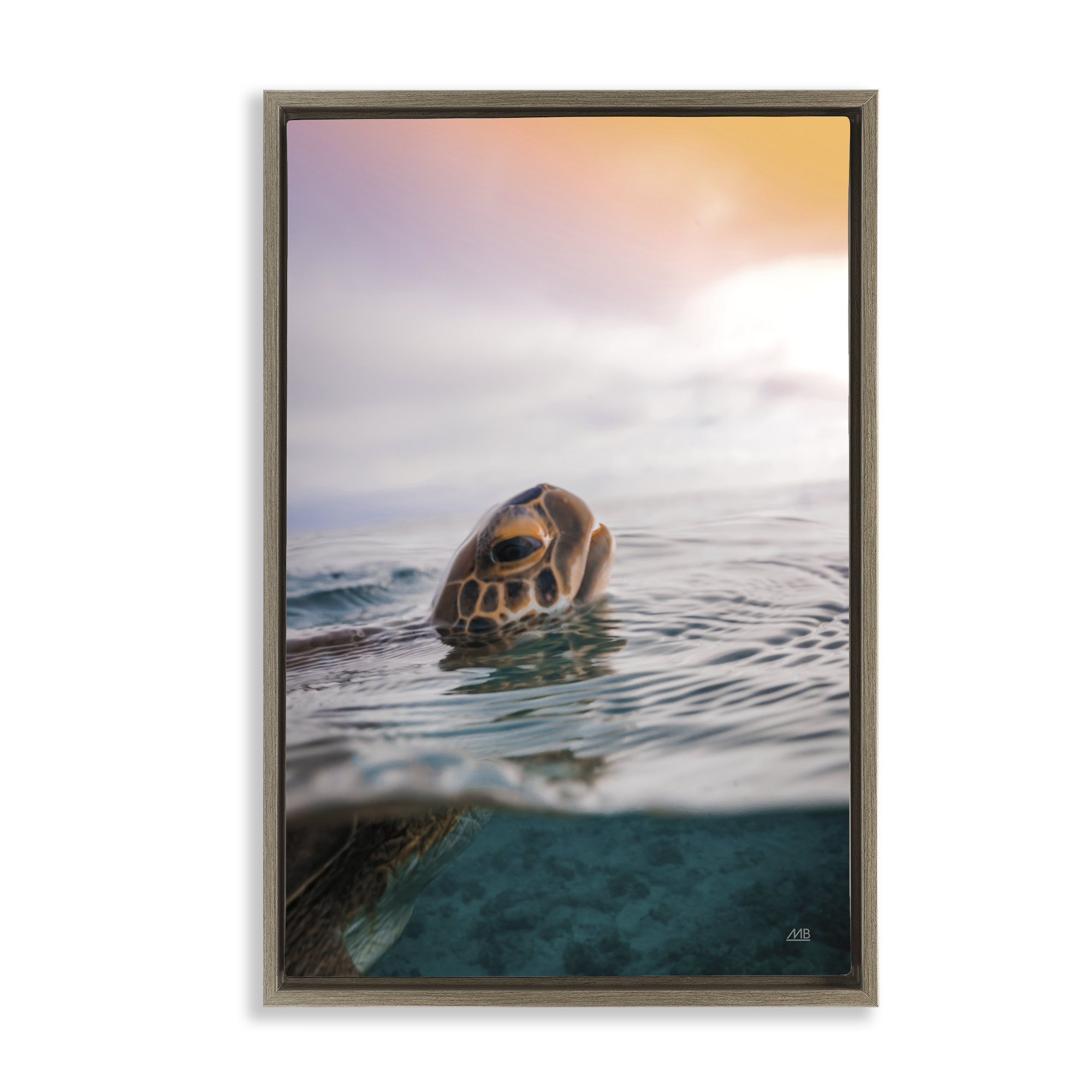 Bay Isle Home™ Turtle Swim at Sunrise Floater Canvas by Max Blakesberg Studios | Wayfair
